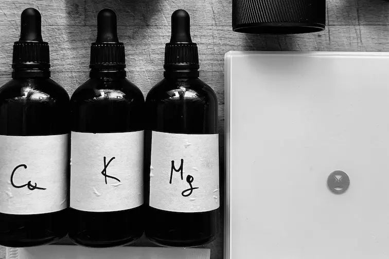 Minerały w wodzie a smak kawy – praktyczne przepisy - Coffee Mates